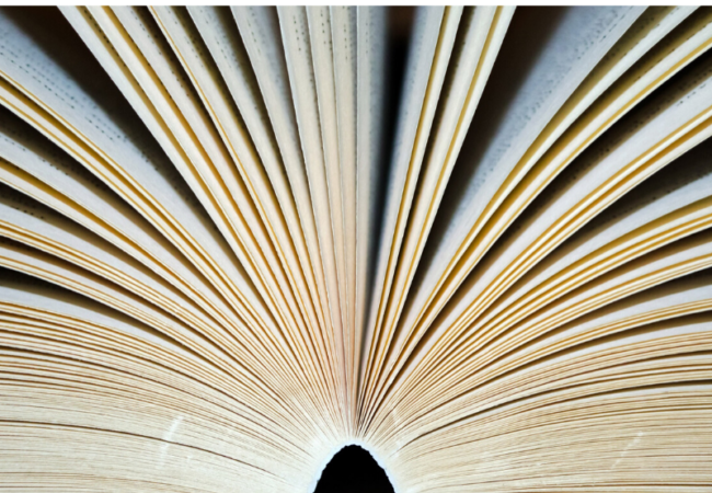 S1 Ep30: Don Pape • The Habit