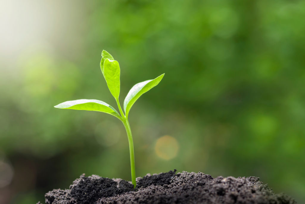 On Getting a Late Start • The Habit